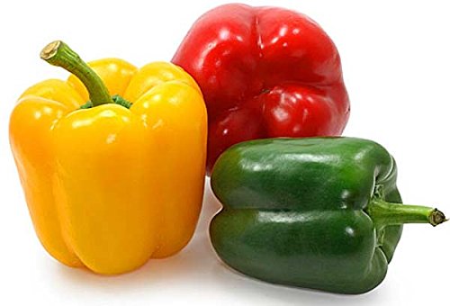 NIKA SEEDS - Seeds Vegetable Sweet Bell Pepper Rainbow Mix - 30 Seeds