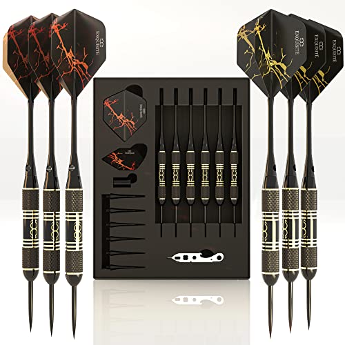 CC-Exquisite Professional Steel Tip Darts Set - 6 x 22g Brass Barrels with 12 Flights Standard/Slim, 12 Aluminum Shafts 35/48mm, 12 O-Rings, Dart Tool, Dart Sharpener and Case (Black & Gold)