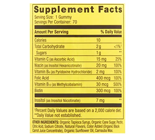 Spring Valley B-Complex Adult Gummy 70 Count - Natural Wild Strawberry Flavor (Packaging May Vary)