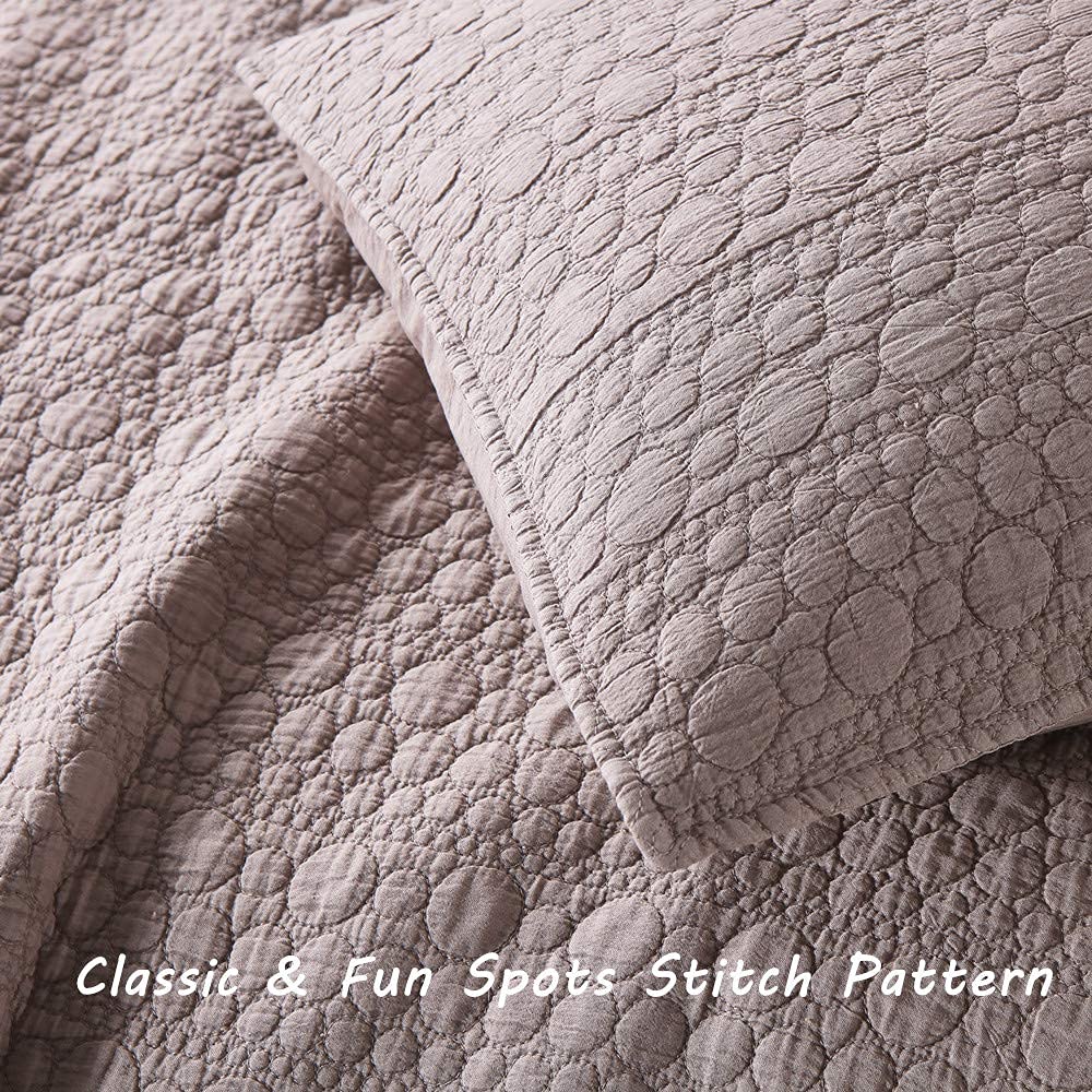 HORIMOTE HOME Quilt Set Twin Size Cameo Rose, Classic Geometric Spots Stitched Pattern, Stone-Washed Microfiber Chic Rustic Look, Ultra Soft Lightweight Quilted Bedspread for All Season, 2 Pieces