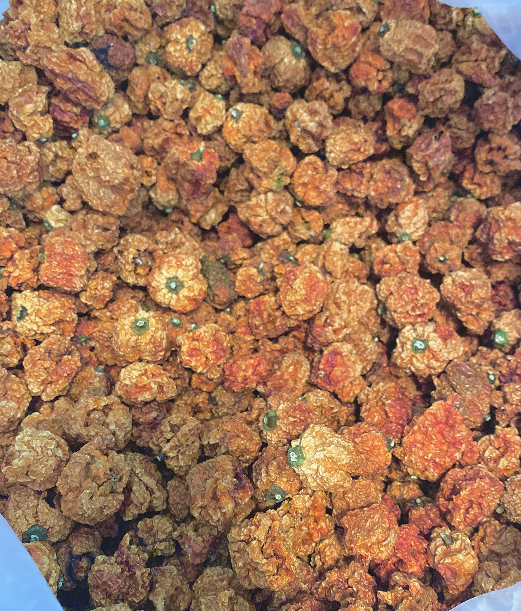 G GT LEAF Carolina Reaper Chili Pepper, Whole Dried (8 Minimum, plus Bonus Peppers)
