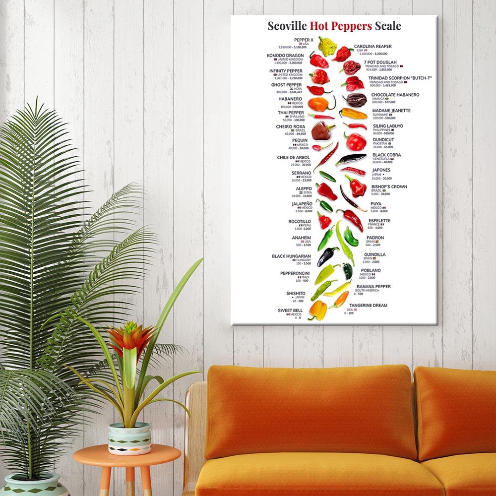 Scovill Hot Peppers Scale , Chilli Capsicum Knowledge Posters Nature Plant Gourmet Botanical Guide Kitchin Fresh Gift Living Room Prints Bedroom Decor (16x24inch-No Frame)