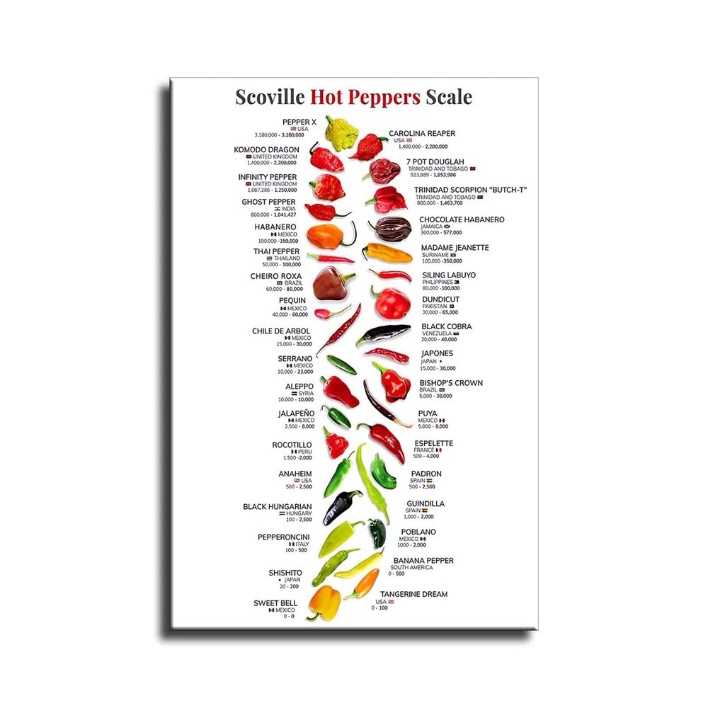 Scovill Hot Peppers Scale , Chilli Capsicum Knowledge Posters Nature Plant Gourmet Botanical Guide Kitchin Fresh Gift Living Room Prints Bedroom Decor (16x24inch-No Frame)