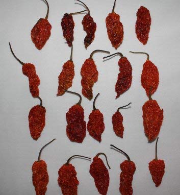 Ghost Pepper Hot Sauce 7 Whole Ghost Peppers Wicked Tickle Bhut Kisser Very Hot