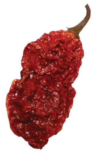 Ghost Pepper Hot Sauce 7 Whole Ghost Peppers Wicked Tickle Bhut Kisser Very Hot