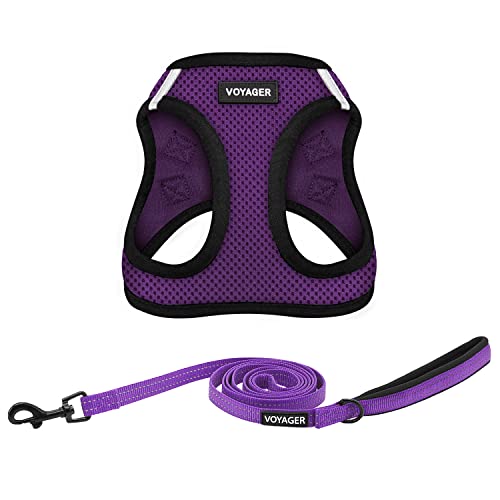 Voyager Step-in Air All Weather Mesh Harness and Reflective Dog 5 ft Leash Combo with Neoprene Handle, for Small, Medium and Large Breed Puppies by Best Pet Supplies - Purple, Small
