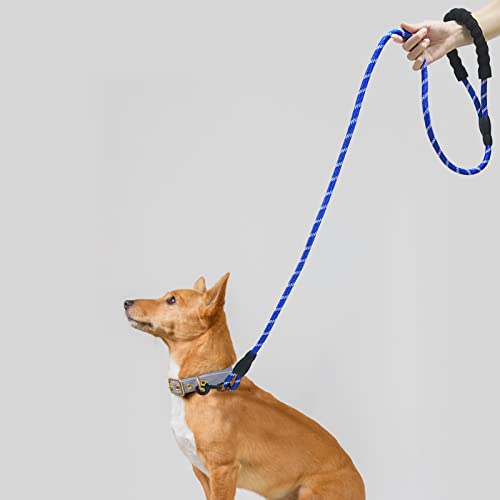 Brilliant Paw Strong Rope Dog Leash 5Ft, Durable Nylon Dog Leash, Dog Lead, with Highly Reflective Thread and Comfortable Soft Padded Handle, Heavy Duty Dog Leash for Medium, Large Dog, Navy Blue…