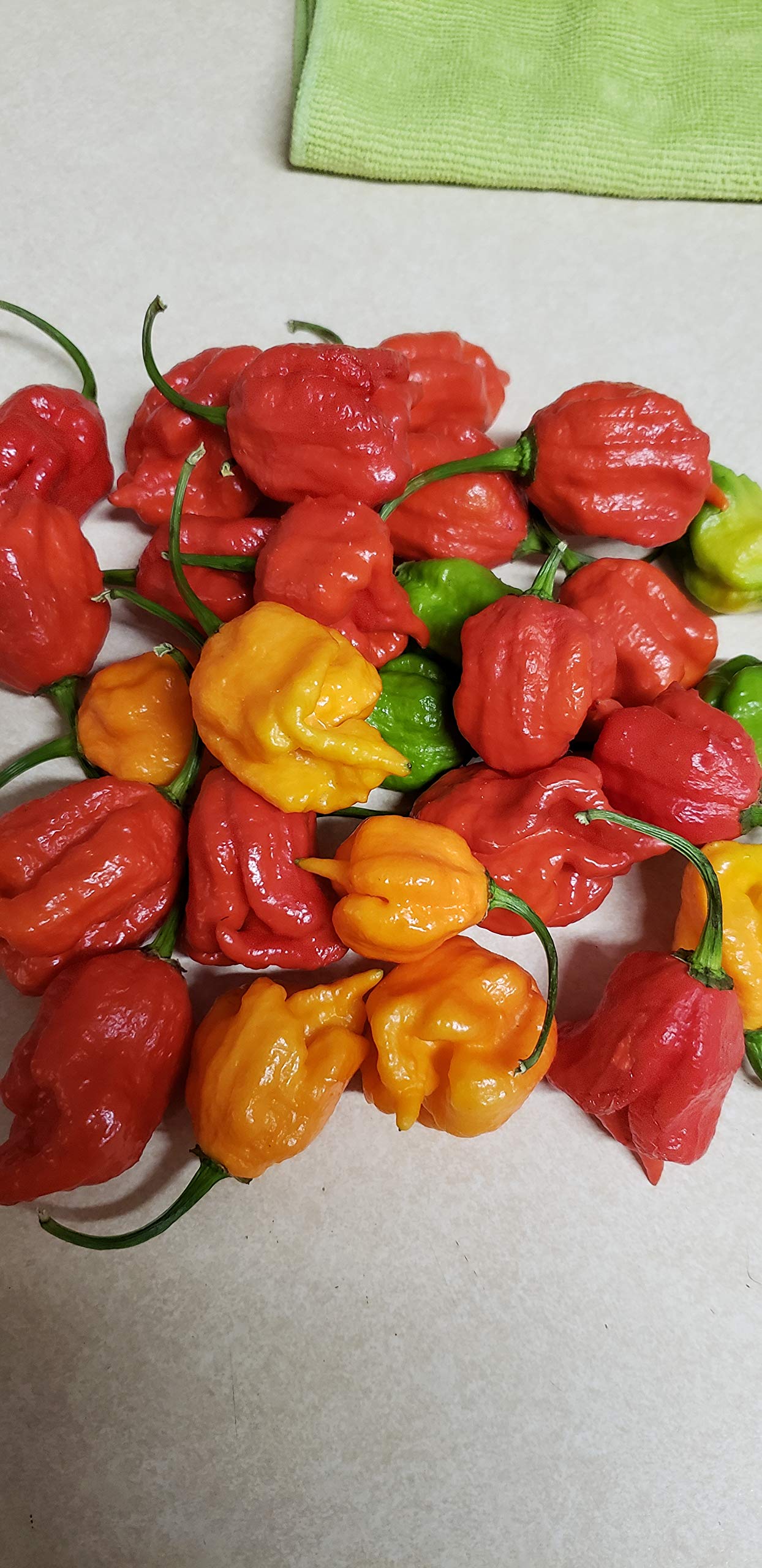 Fresh Super Hot Peppers - Mixed Box: Carolina Reapers, Ghost, Scorpion, ETC.