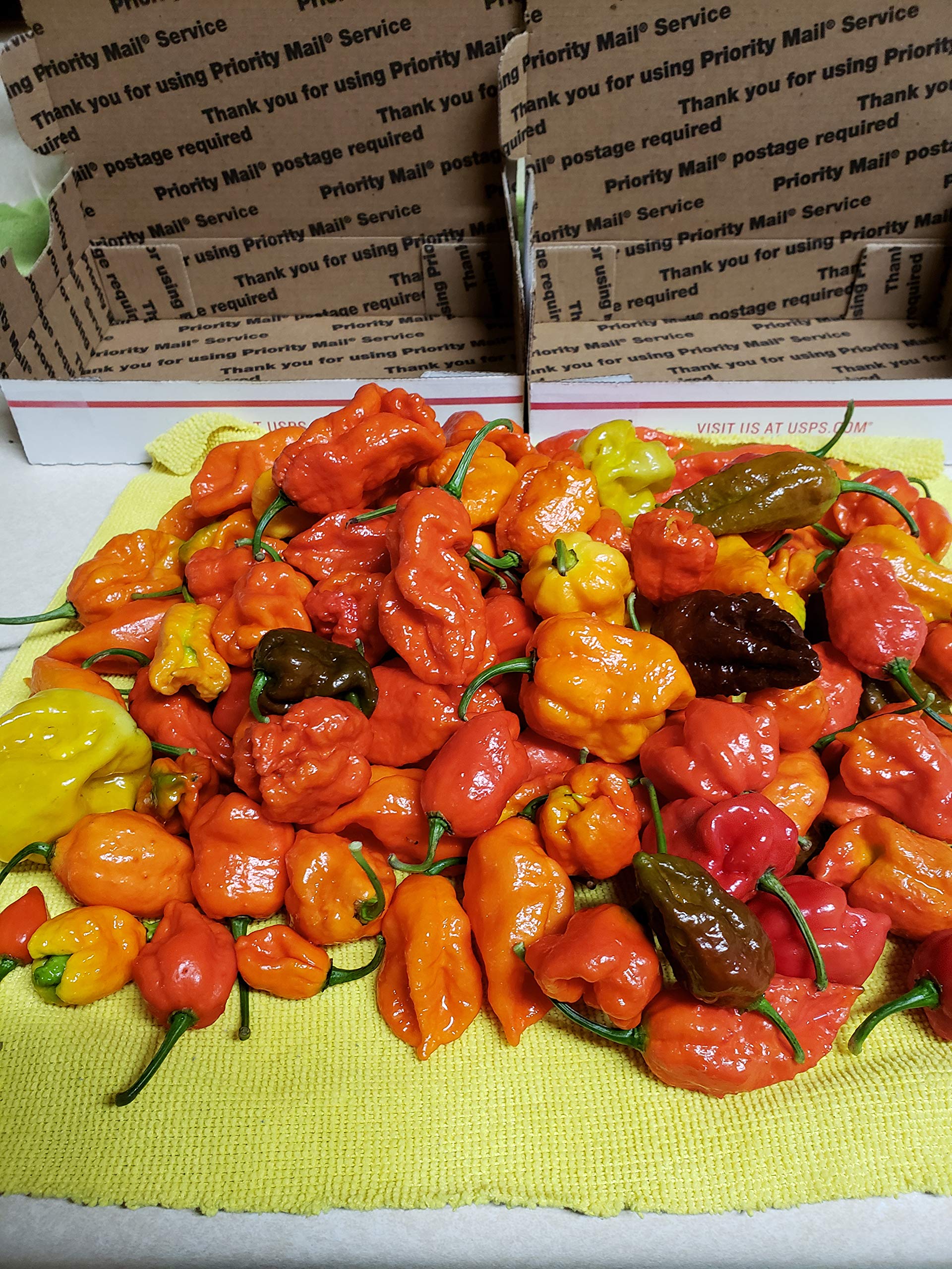 Fresh Super Hot Peppers - Mixed Box: Carolina Reapers, Ghost, Scorpion, ETC.