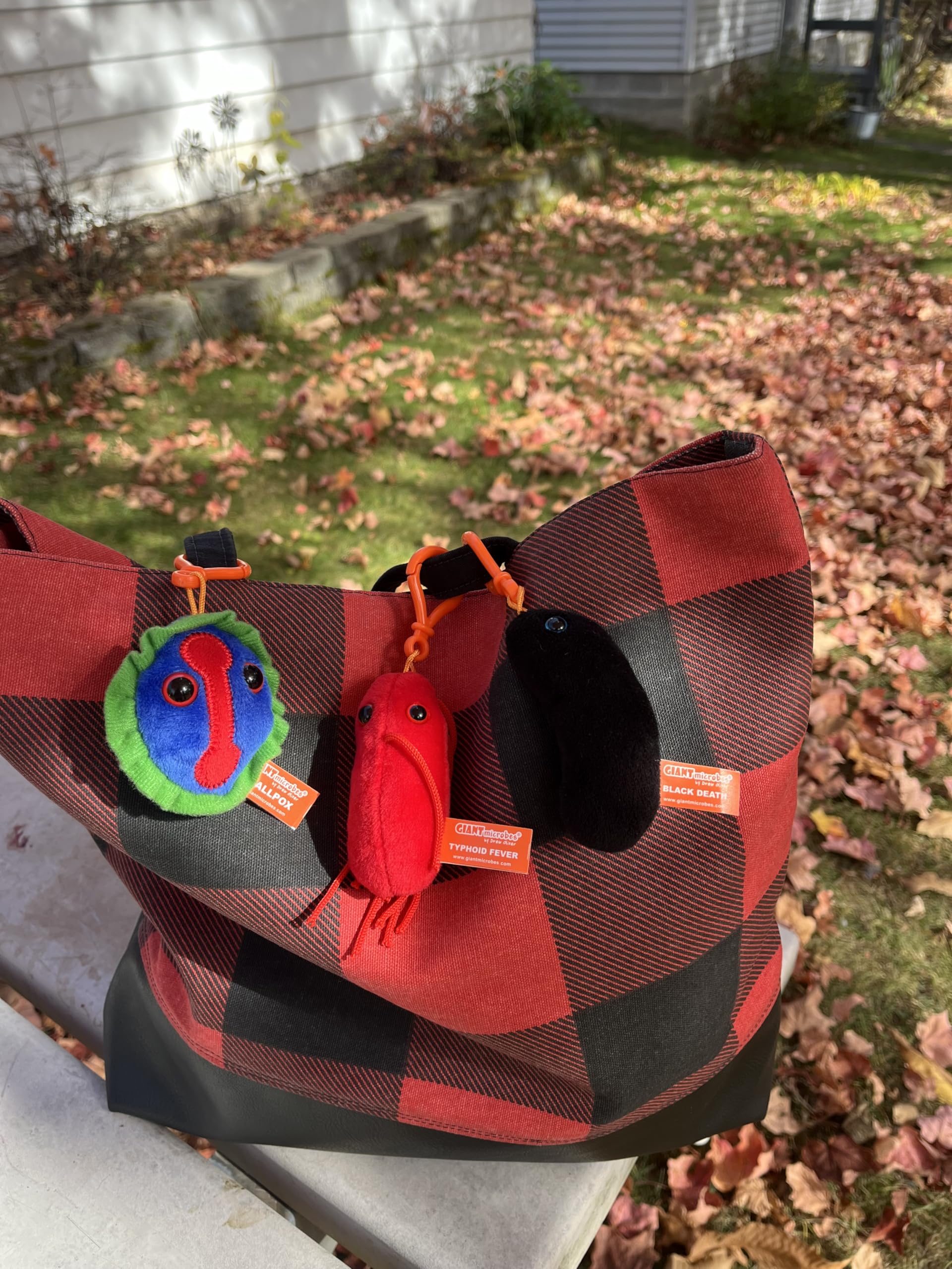 GIANTmicrobes Plagues from History Gift Box - Learn about Plagues and Pandemics with this 5-piece box set of plush microbes. Unique Educational Gift for Friends, Family, Scientists, Students, Healthcare workers and History Buffs
