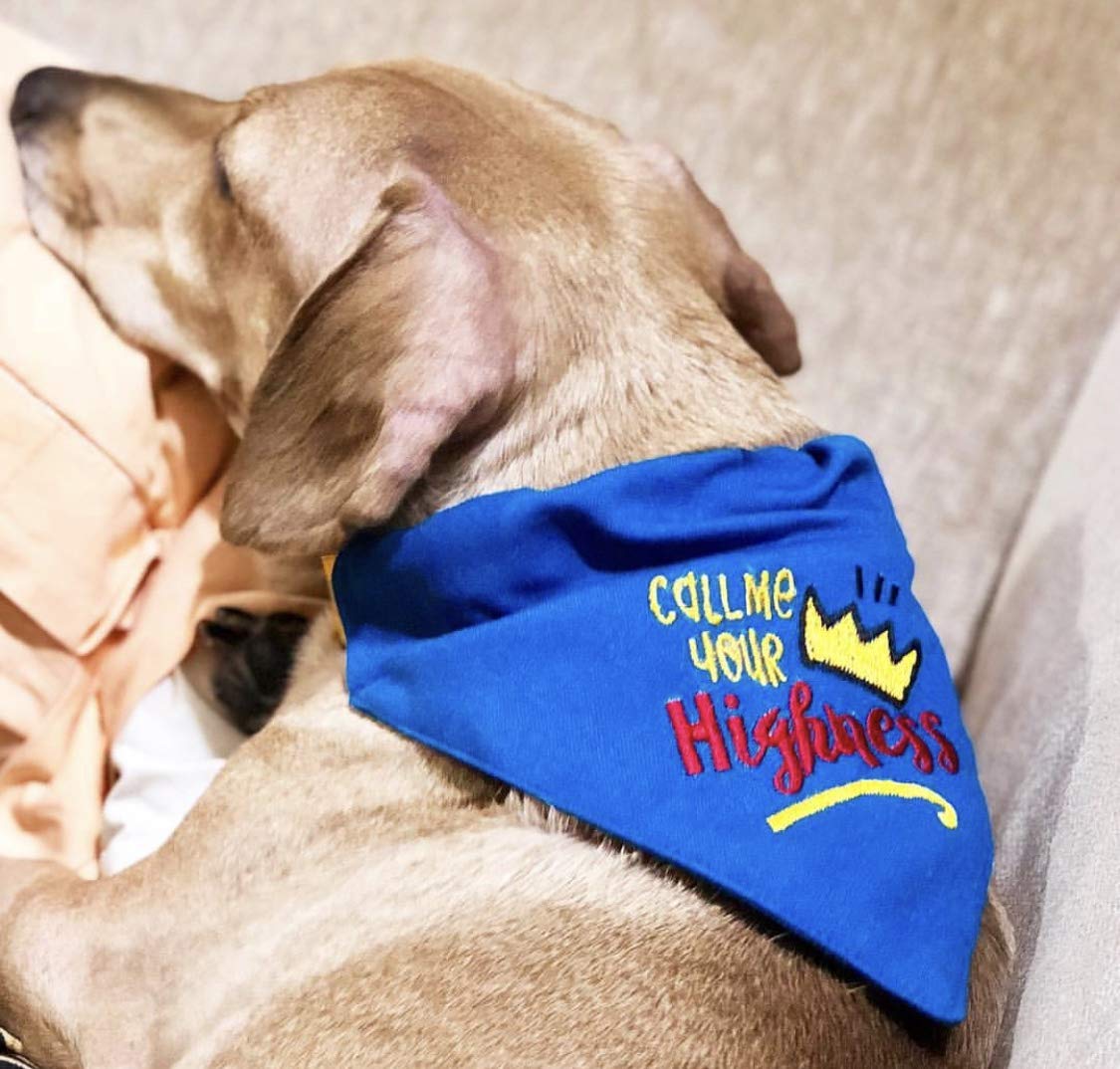 That Dog In Tuxedo Call me Your Highness Dog Bandana/Dog Scarf with Adjustable Dog Collar (Size XL)