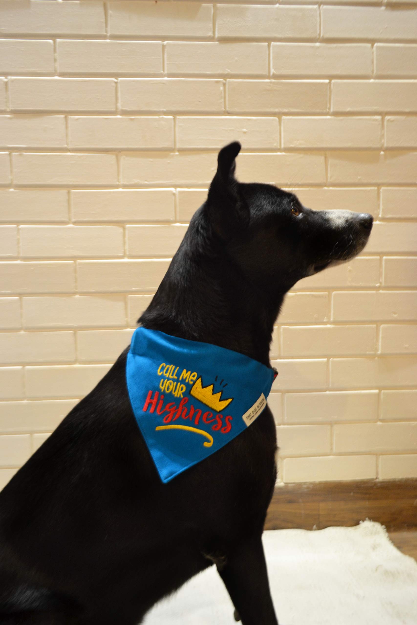 That Dog In Tuxedo Call me Your Highness Dog Bandana/Dog Scarf with Adjustable Dog Collar (Size XL)