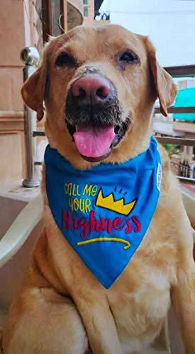 That Dog In Tuxedo Call me Your Highness Dog Bandana/Dog Scarf with Adjustable Dog Collar (Size XL)