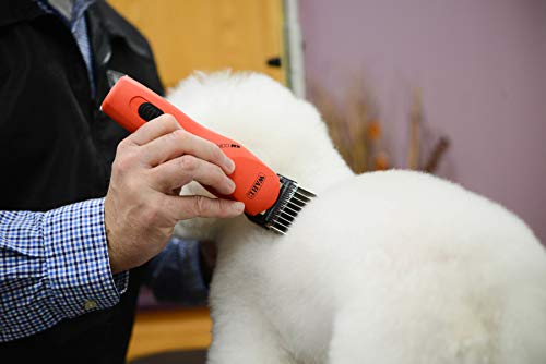 WAHL Professional Animal Stainless Steel Attachment Guide Comb Detachable Blade Pet Clippers #0 5/8β #3375-100, Stainless Steel, Black, and Yellow