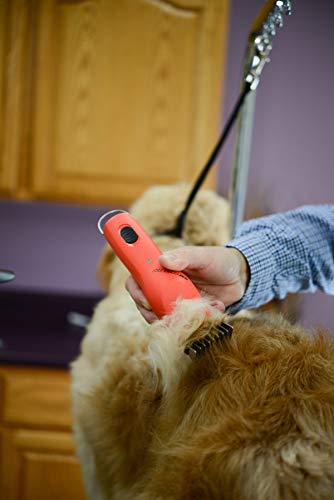 WAHL Professional Animal Stainless Steel Attachment Guide Comb Detachable Blade Pet Clippers #0 5/8β #3375-100, Stainless Steel, Black, and Yellow