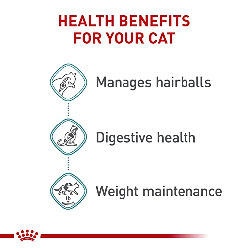 Royal Canin Hairball Care Thin Slices in Gravy Wet Cat Food, 3 oz can (24-count)