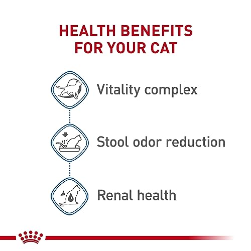 Royal Canin Indoor 7+ Adult Dry Cat Food, 5.5 lb bag