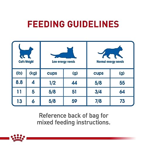Royal Canin Indoor 7+ Adult Dry Cat Food, 5.5 lb bag