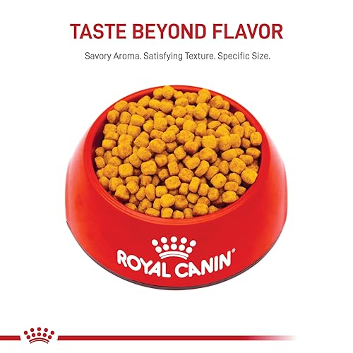 Royal Canin Indoor 7+ Adult Dry Cat Food, 5.5 lb bag