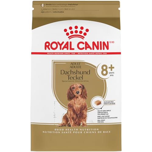 Royal Canin Breed Health Nutrition Dachshund Teckel 8+ Adult Dry Dog Food, 3 lb bag