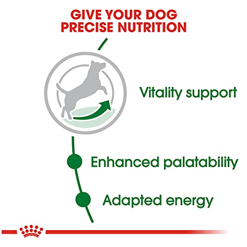Royal Canin Small Adult 8+ Dry Dog Food, 13 lb bag
