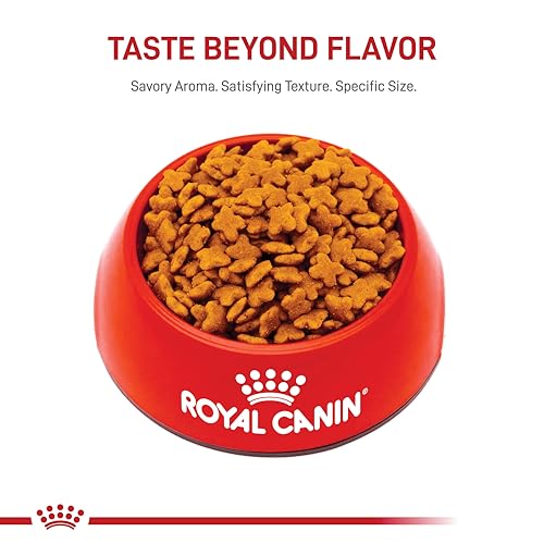 Royal Canin Small Adult 8+ Dry Dog Food, 13 lb bag
