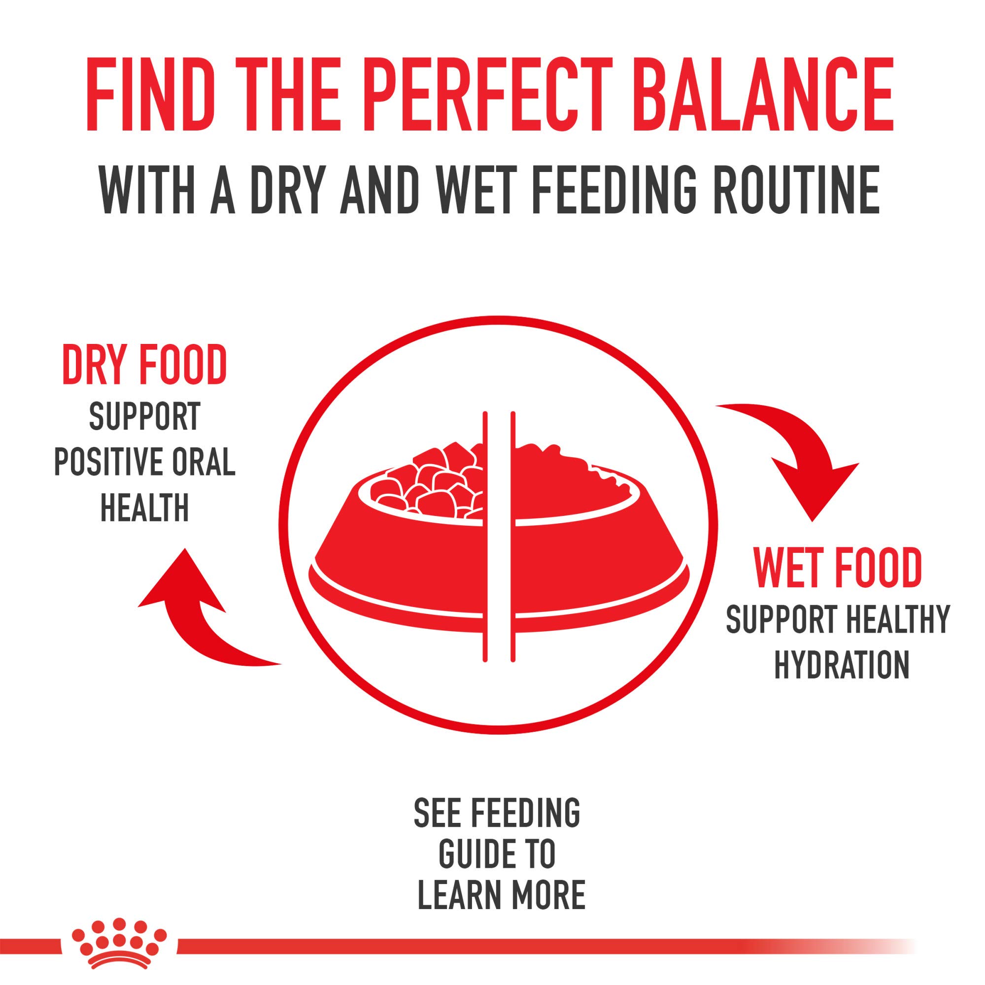 Royal Canin Feline Care Nutrition Digestive Care Dry Cat Food, 3 lb bag