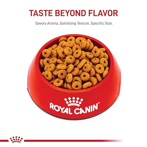 Royal Canin Feline Care Nutrition Digestive Care Dry Cat Food, 3 lb bag