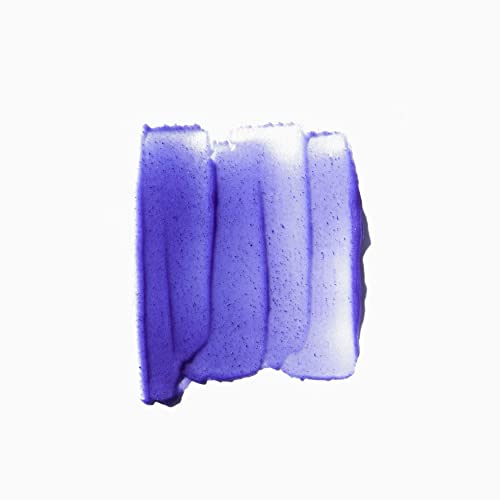Kerastase Blonde Absolu Ultra Violet Masque Unisex 6.8 oz