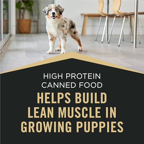 Purina Pro Plan Sport High Protein Puppy Food Beef & Rice Wet Formula - (Pack of 12) 13 oz. Cans