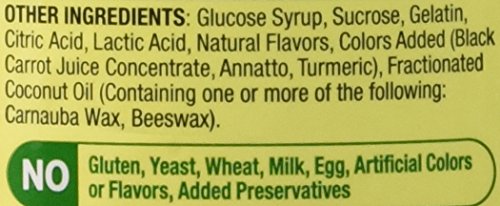 Spring Valley - Prenatal Gummy Multivitamin with DHA & Folic Acid, Fruit Flavor, 90 Gummies