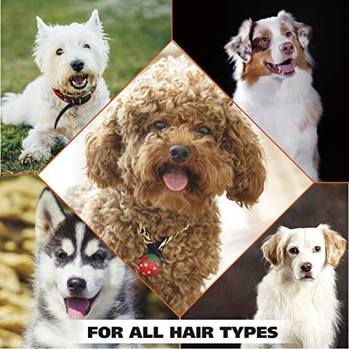 Wahl Dry Skin & Itch Relief Pet Shampoo for Dogs β Oatmeal Formula with Coconut Lime Verbena 64oz - Model 821004-050