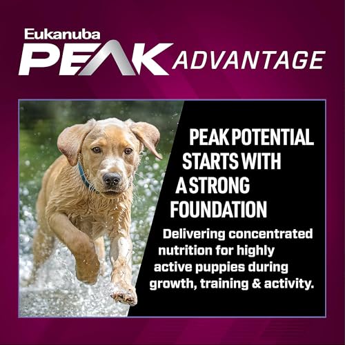Eukanuba Premium Performance Puppy Pro Dry Dog Food, 4 lb Bag