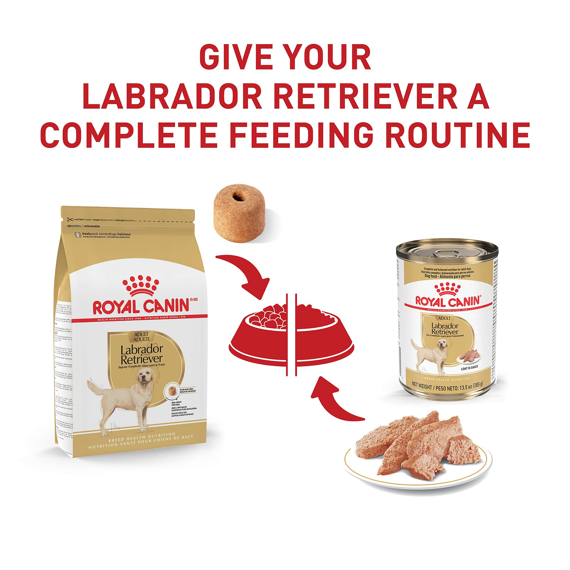 Royal Canin Labrador Retriever Loaf in Sauce Canned Dog Food, 13.5 oz can (12-count)