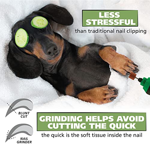 Wahl Lithium Ion Rechargeable Dog Nail Grinder with Concave Rounding Tip and Nail Guard for Increased Safety and Precise Nail Grinding, 3 Hour Run Time - 5975