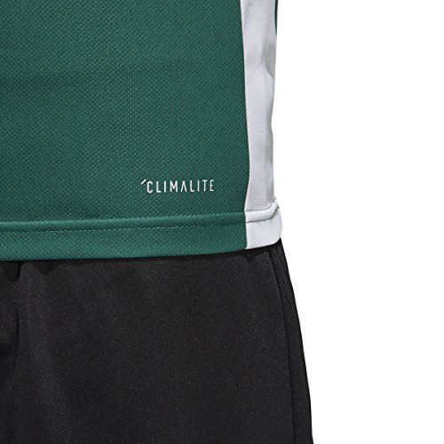adidas Men's Entrada 18 Jersey, Collegiate Green, Large