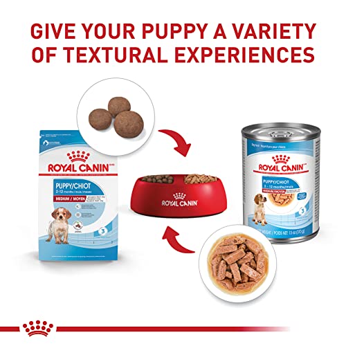 Royal Canin Medium Puppy Dry Dog Food, 6 lb bag