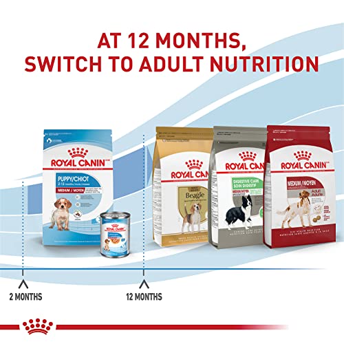 Royal Canin Medium Puppy Dry Dog Food, 6 lb bag