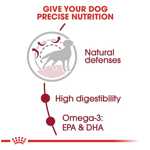 Royal Canin Medium Breed Adult Dry Dog Food, 17 lb bag