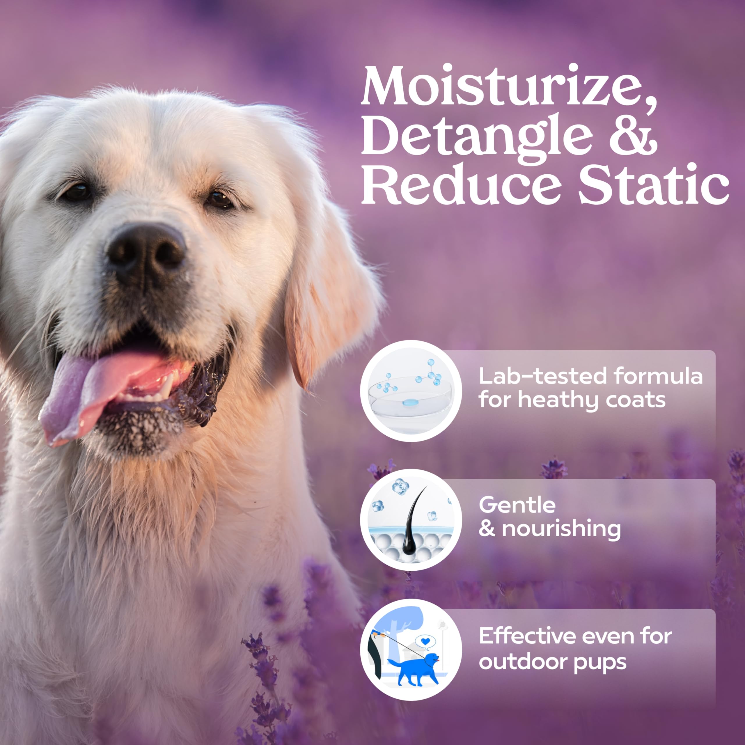 PAWFUME Grooming Dog Spray (Lavender) + Dog Shampoo and Conditioner (Royal Lavender) + Ear Cleaner for Dogs