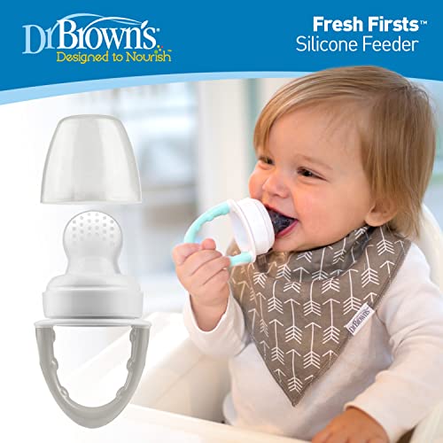 Dr. Brown's Designed to Nourish, Fresh Firsts Silicone Feeder, Grey, One Size (Pack of 2)