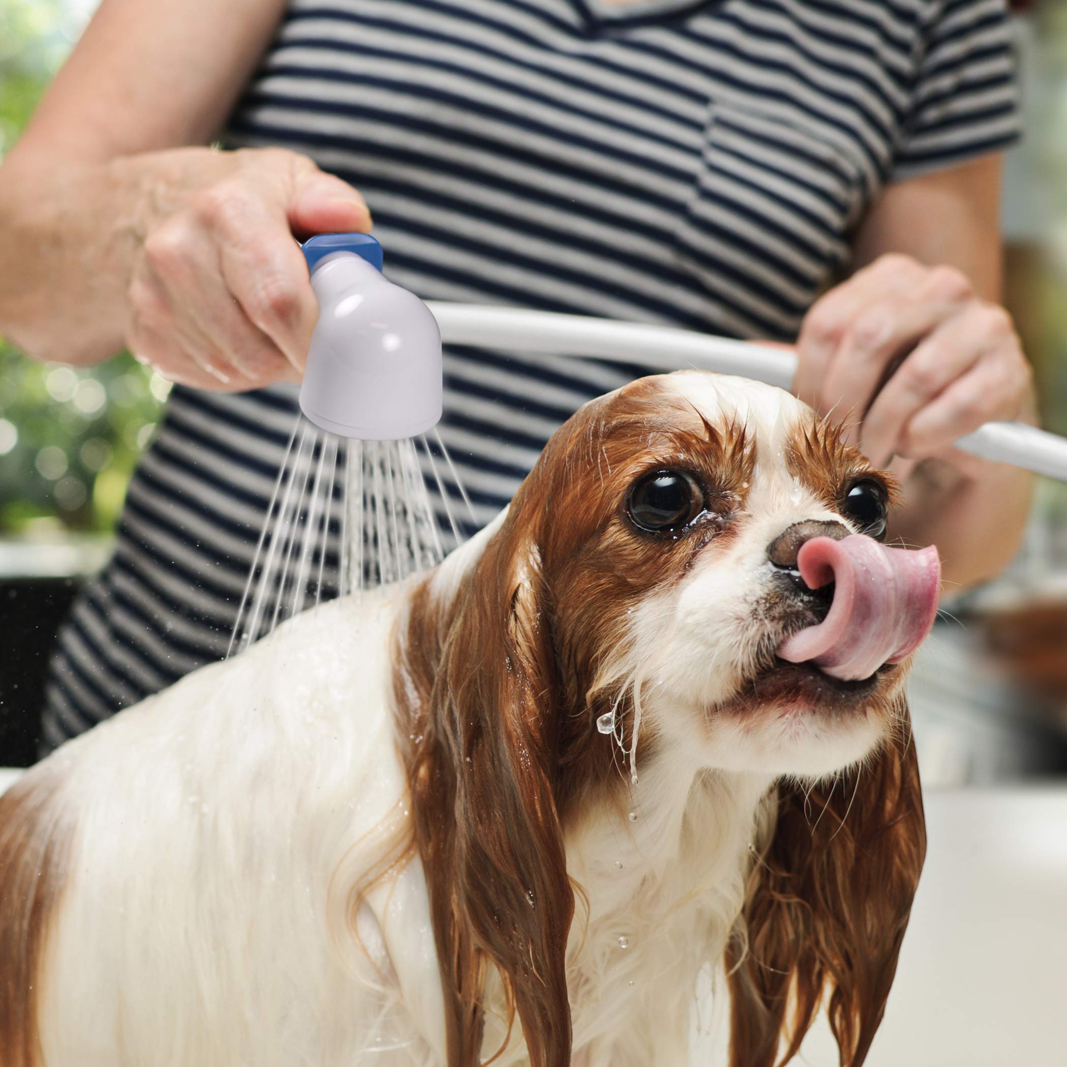 Danco 10856 Easy Spray Indoor-Outdoor Portable Handheld Kitchen Sink Faucet Sprayer attachment Sink Sprayer
