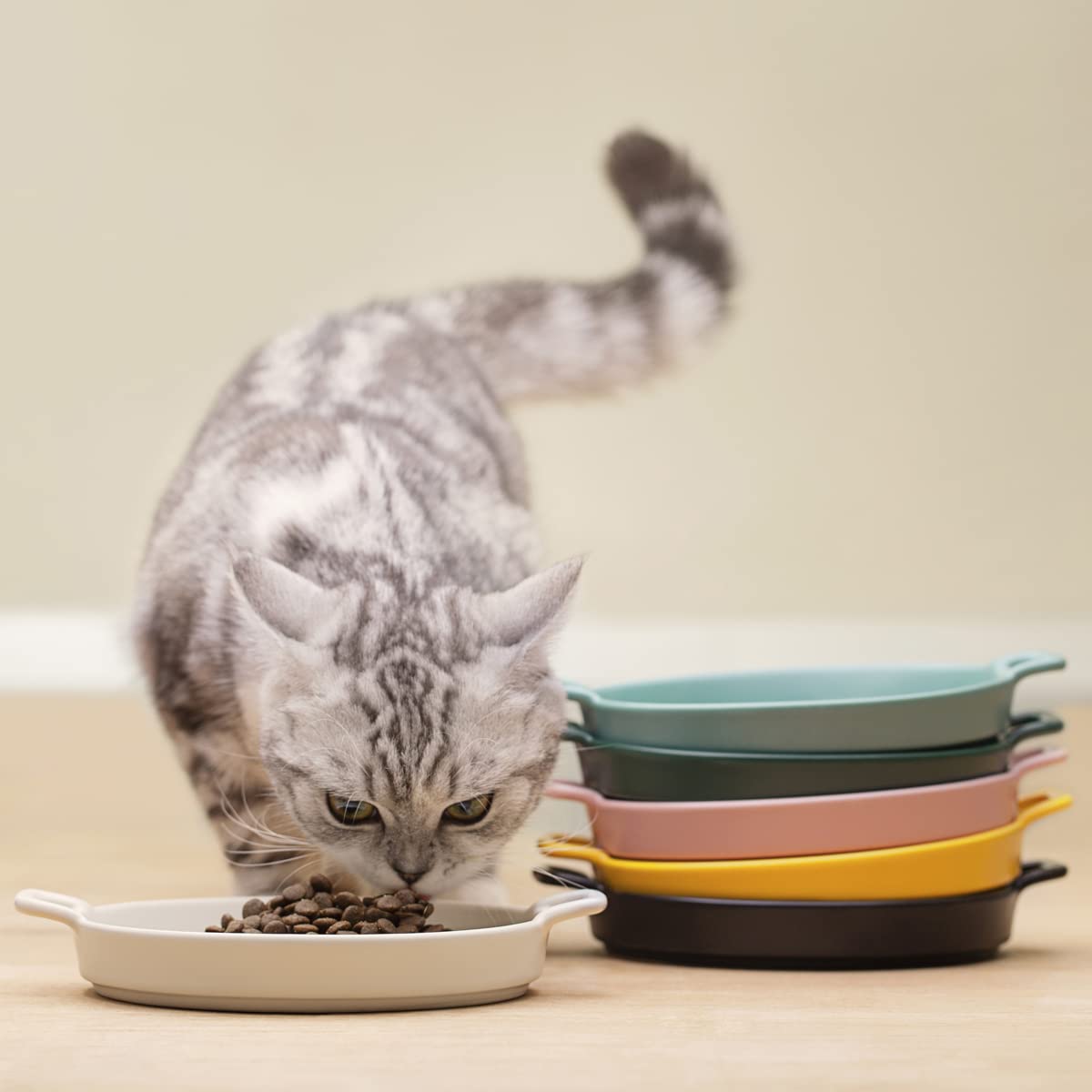 Lakerwin Ceramic Cat Bowl, Whisker Fatigue Relief Cat Food Dish, Shallow Wide Pet Feeding Plate for Cat, Kitten and Kitty, Short Legged Munchkin Cat, Pink & White