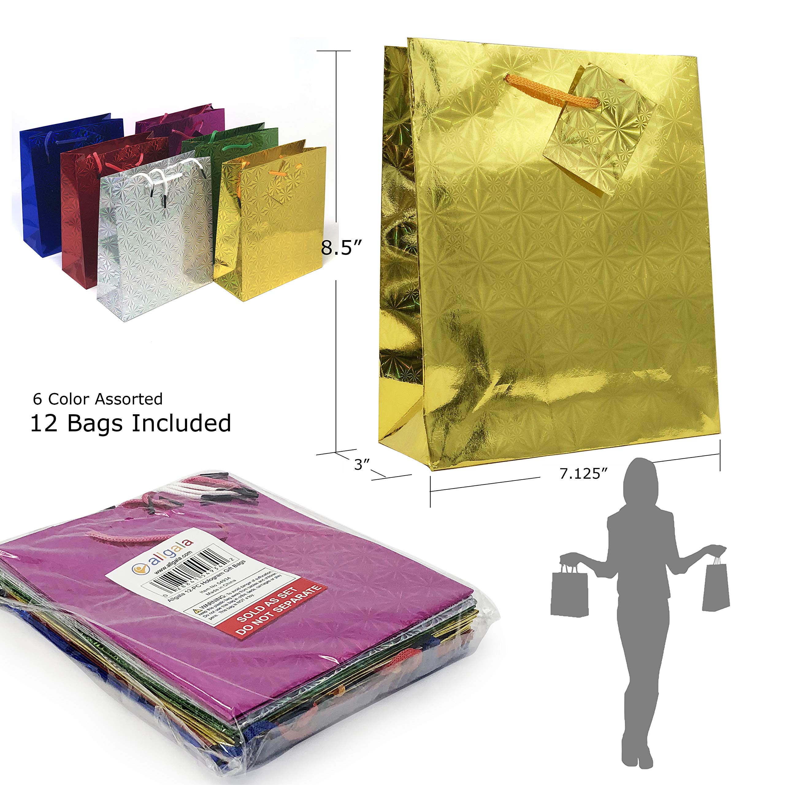 Allgala 12-PC 9 x7 Inch Medium Premium Hologram Gift Bags-GP50301