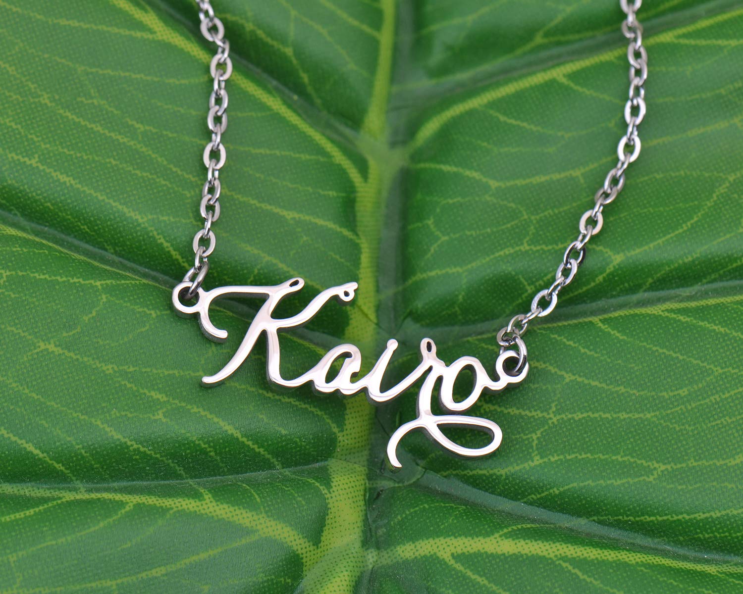 A Missing Dog Cobi Name Necklace Custom Personalized Name Plate Jewelry for Birthday