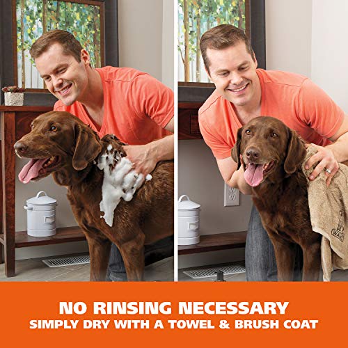 Wahl Pet Friendly Waterless No Rinse Shampoo for Animals β Lavender & Chamomile for Cleaning, Conditioning, Detangling, & Moisturizing Dogs, Cats, & Horses β 7.1 Oz - Model 820014A