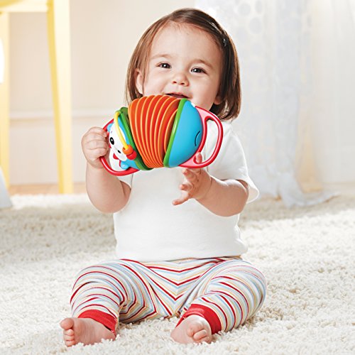 Skip Hop Accordian Baby Toy, Explore & More, Hedgehog
