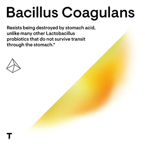 Thorne Bacillus Coagulans Probiotic - Shelf Stable Probiotic Supplement to Promote GI Health - 60 Capsules