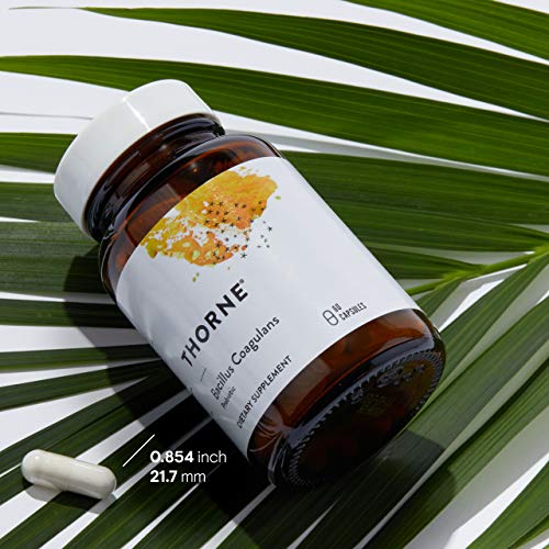 Thorne Bacillus Coagulans Probiotic - Shelf Stable Probiotic Supplement to Promote GI Health - 60 Capsules