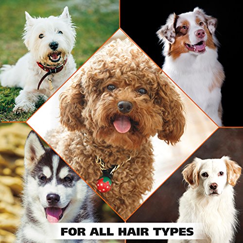 Wahl Dry Skin & Itch Relief Pet Shampoo for Dogs β Oatmeal Formula with Coconut Lime Verbena & Pet Friendly Formula, 24 Oz - Model 820004A